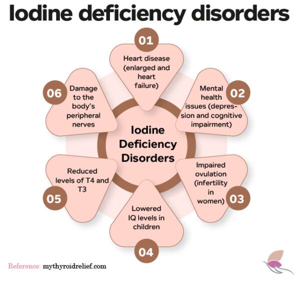 How Iodine Deficiency Affects Thyroid Function - My Thyroid Relief