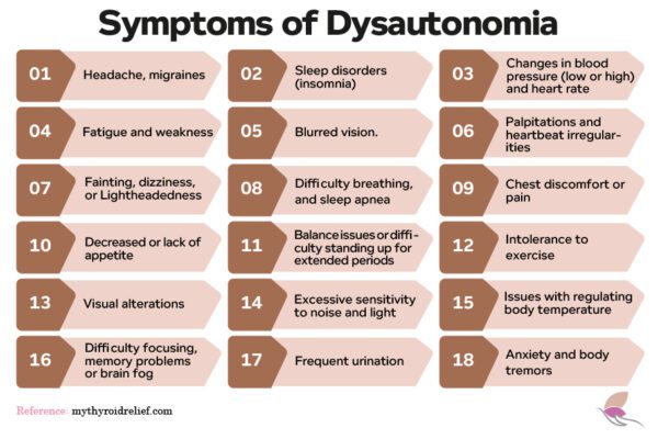 Dysautonomia and Hashimoto's Disease - My Thyroid Relief